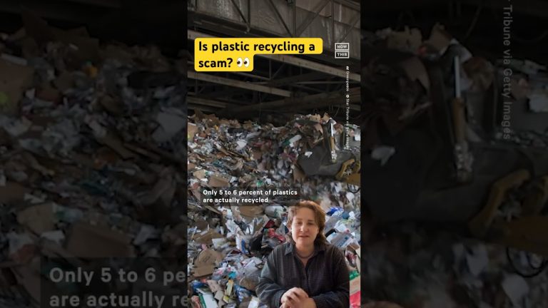 Plastic recyclen: dé complete gids voor duurzaam afvalbeheer in 2024